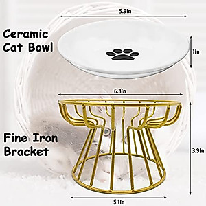 BNOSDM Raised Cat Dish Ceramic Shallow Cat Bowl with Gold Stand Elevated Pet Food Plate for Indoor Cat Kitten Small Dogs