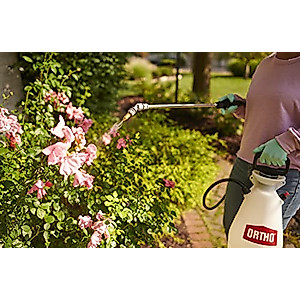 Ortho Rose & Flower Disease Control Concentrate, 16 oz