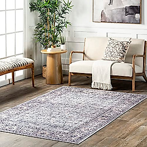 nuLOOM Indy Vintage Stain-Resistant Machine Washable Area Rug, 8' x 10', Grey