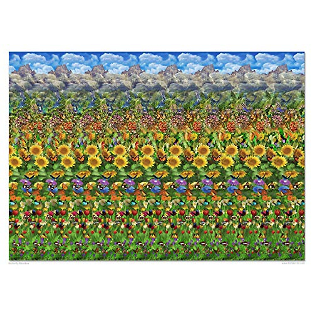 Set of Six 18"x13" Stereogram Posters (Set#2)
