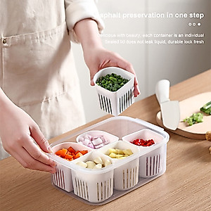 Fridge Organizer, Divided Veggie Tray with Lid, Plastic Divided Veggie Storage Containers, Plastic Fresh Produce Saver Keeper for Refrigerator Produce Beans Fruits Organzation(#1)