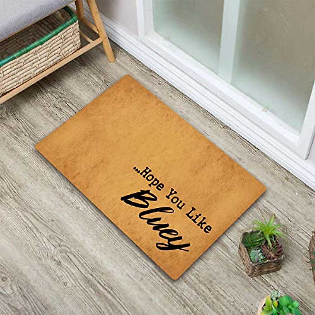 Entrance Floor Mat Hope You Like Bluey Funny Doormat Door Mat Decorative Indoor Non-Woven 23.6 by 15.7 Inch Machine Washable Fabric Top