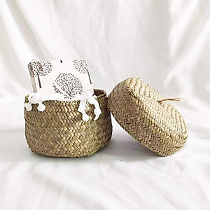 Small Seagrass Baskets with Lids Natural Woven Baskets Flower Basket Small Storage Box for Bedroom Living Room Nursery Decor Shelf Basket
