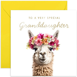 Old English Co. Llama Very Special Granddaughter Card - Llama Floral Cute Birthday Card for Her - Cute Well Done Congratulations Cards for Granddaughter from Grandparents | Blank Inside Envelope…