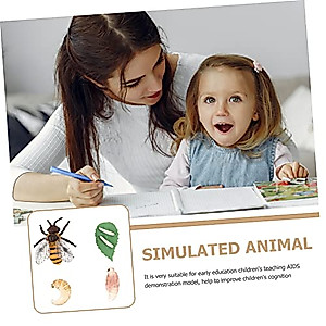 Yardenfun 1 Set Stag Beetle Growth Week Little Critters Toys Educational Toys for Kids Spider Toy Honey Life Cycle Models Growth Statue Bee Growth Cycle Plastic Honey Bee Life Cycle Models