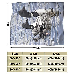 YUNIKER Blanket Loon Lake Duck Warm Super Soft Home Blanket Lightweight Plush Throw Blanket Microfiber Premium Sherpa Blanket for Couch Sofa Bed 80"" x60