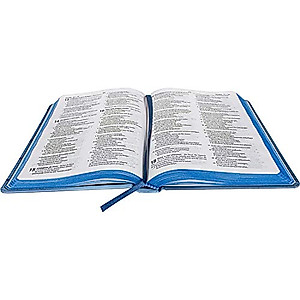 Bíblia Sagrada NTLH - Capa Âncora: Nova Tradução na Linguagem de Hoje (NTLH)