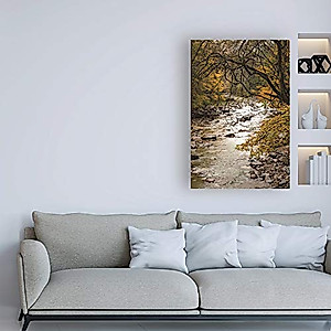 Trademark Fine Art, 16x24 Yellow Maples Along The River by Kurt Shaffer Photographs
