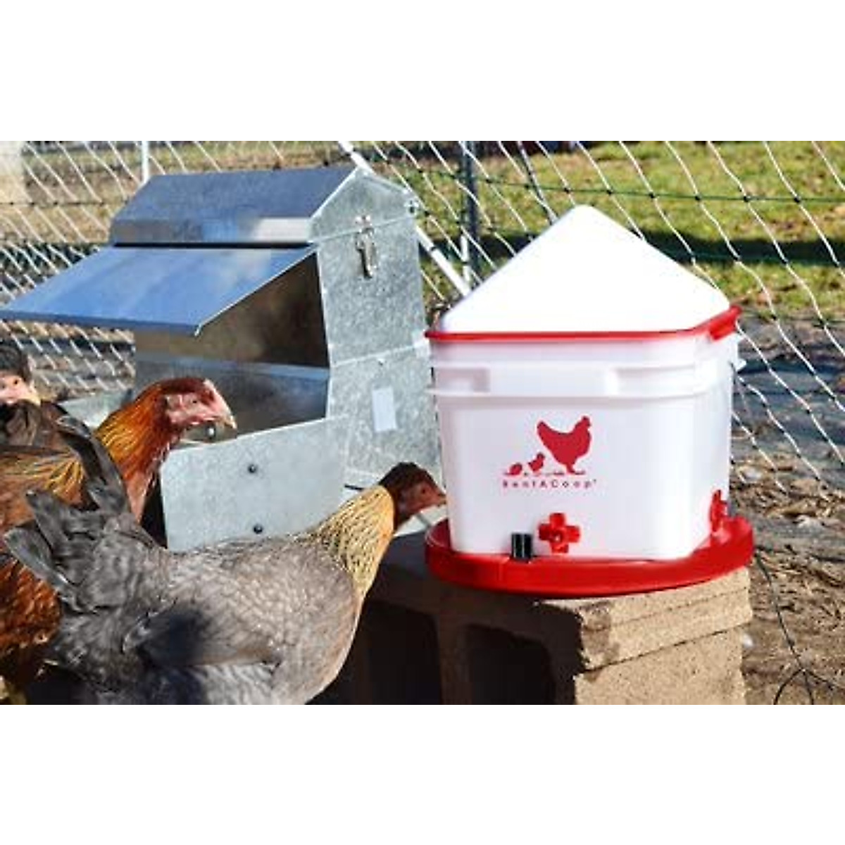 RentACoop 12" Poultry Deicer Base – Electric Heated Warmer for Poultry Waterers in Winter, Freeze Proof, Indoor/Outdoor Use