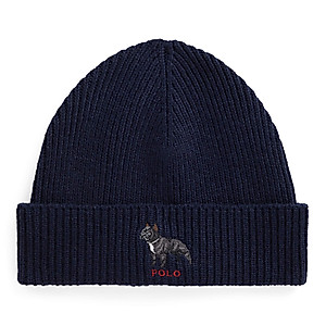 POLO RALPH LAUREN Men`s Wool Blend Knit Hat (Navy (PC0365-433), One Size)