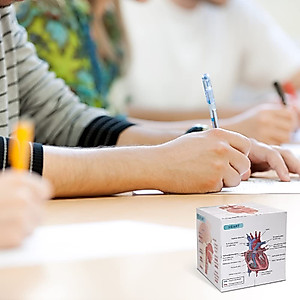 Medical Student Human Anatomy 3.93"Cube Anatomy Poster Set Heart,Brain,Lung,Stomach,Throat,Muscular,Skeletal,Digestive,Circulatory,Gifts For Medical Students, Nurse