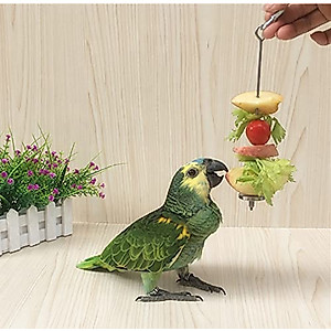 Pet Bird Food Fork Stainless Steel Hanging Bird Treat Feeders Bird Treat Skewer Parrot Foraging Toy for Parrots Cockatoo Cockatiel