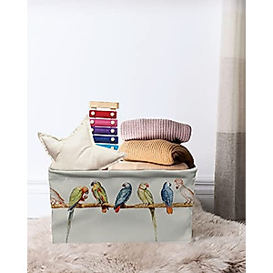 Storage Bins, Parrot Bird on Branch Storage Baskets for Organizing Closet Shelves Clothes Decorative Fabric Baskets Large Storage Cubes with Handles