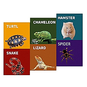 OMEM Natural Reptile Basking Ramp Terraces Resin Made (Tree Stump)