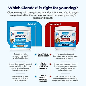 Glandex Anal Gland Soft Chew Treats with Pumpkin for Dogs Digestive Enzymes, Probiotics Fiber Supplement for Dogs Boot The Scoot (Advanced Strength Duck/Bacon Chews (Vegetarian), 120ct)