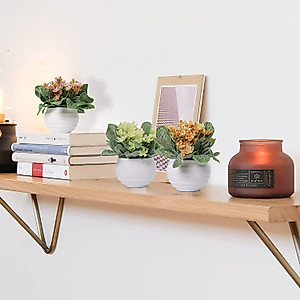 Zuvas Fake Plants 6 Packs Small Artificial Plastic Plants Set Home Decor Mini Potted Faux Flowers and Herb Greenery Leaves for Bathroom Office Table Shelf Decoration