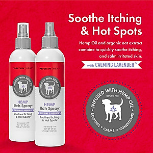 Petkin Hemp Anti Itch Spray for Dogs and Cats – with Hemp Oil & Calming Lavender Extract, 8 fl oz – Reduce Itching, Hot Spots and Skin Irritation – Soothes, Calms & Conditions