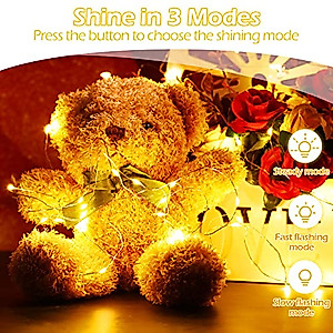 100 Pack Fairy Lights Battery Operated 3 Speed Modes, 7 Ft/ 2 M 20 LED Battery String Mini Lights Waterproof Wire Twinkle Lights Party Favors for Wedding Birthday Vases Flower Decor (Warm Light)