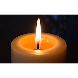 The Beeswax Co Pillar Beeswax Candle - Natural Honey Scented - Long-Lasting & Eco-Friendly - Cotton Wick - Slow Burning - Hand Poured Pure Organic Bees Wax - Short