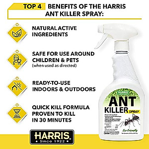 Harris Ant Killer Spray, 20 oz for Indoor and Outdoor Use