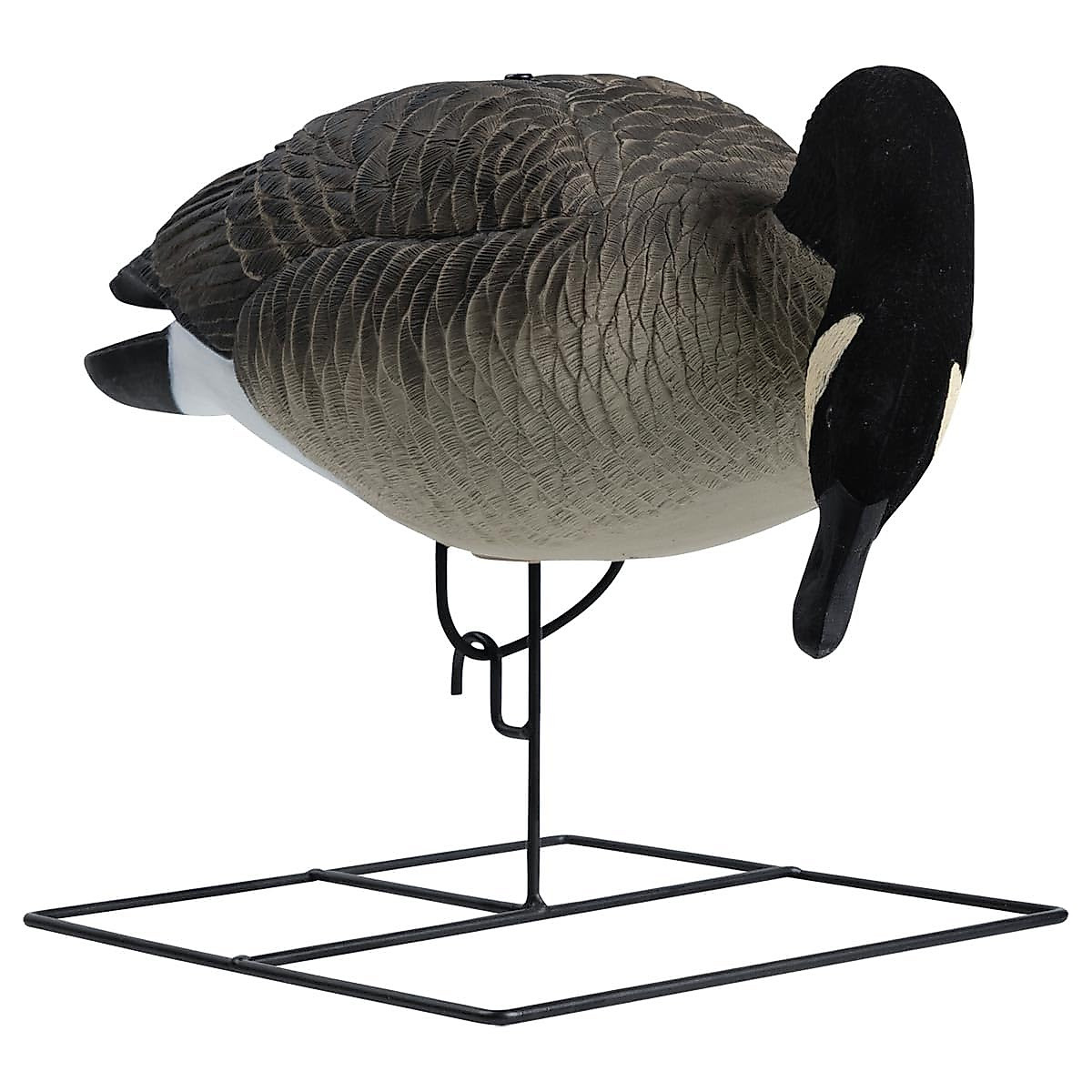 Hardcore Waterfowl Rugged Series Full Body Flocked Head Canada Goose Hunting Decoys - Feeder 6 Pack