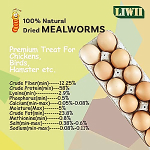LIWII Dried Mealworms 2 LBS-100% Natural Non GMO High Protein Mealworms for Chicken-Bulk Mealworms for Wild Birds, Chicken Treats, Hamster Food, Gecko Food, Turtle Food, Lizard Food