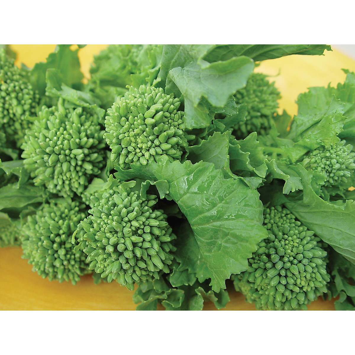 Burpee Raab Spring Broccoli Seeds 400 seeds