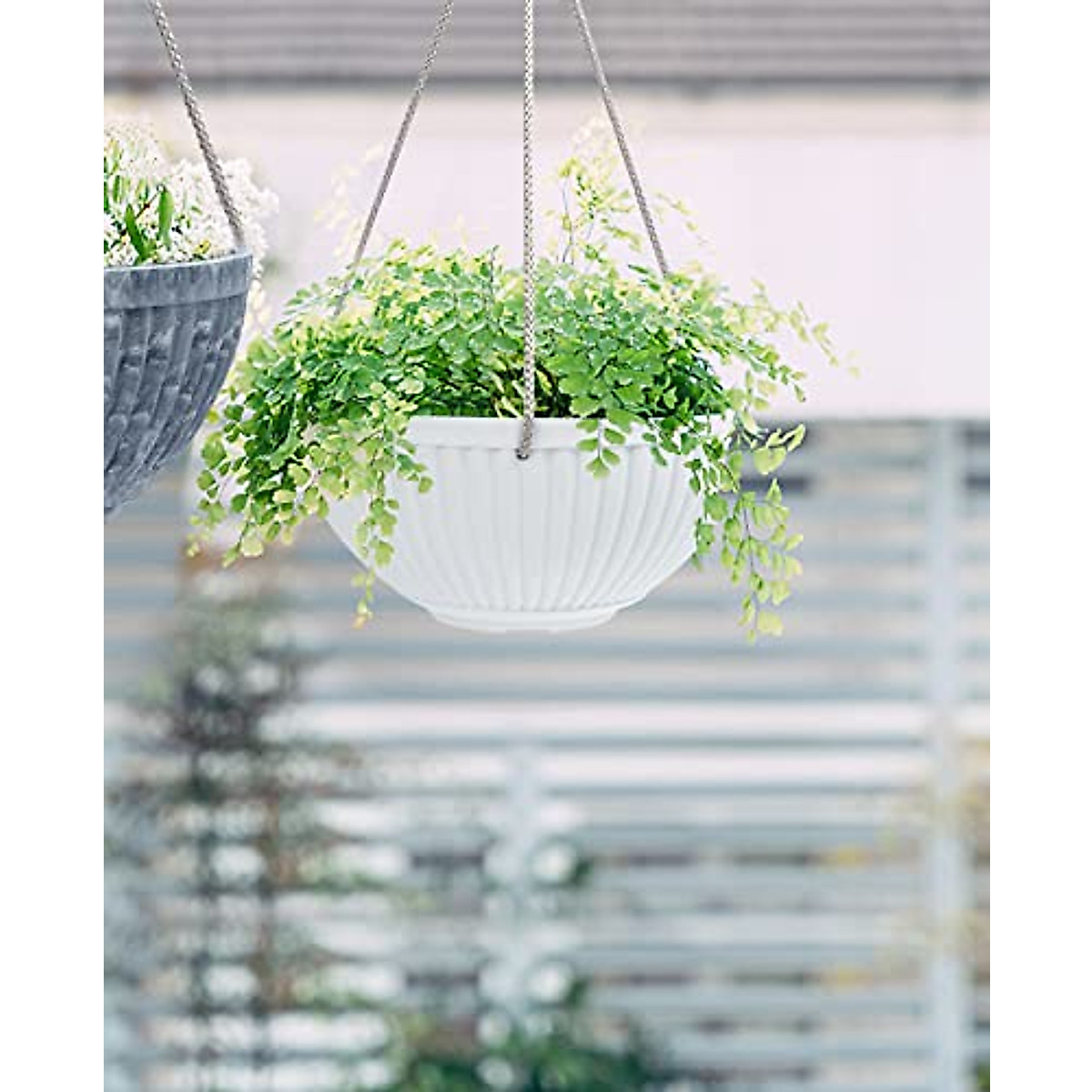 LaDoVita Large 10 Inch Hanging Planters Indoor with Pot, Hanging Pots for Plants, Outdoor Hanging Baskets, Hanging Flower Pot with Drainage Hole, Set of 2, Frosted White