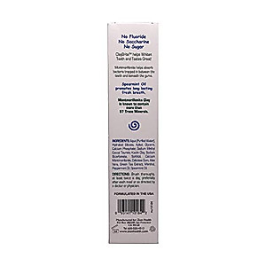 Zion Health ClayBrite White Mineral Toothpaste Natural Mint Flavor 4 oz 120 g