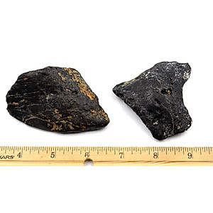 Megalodon Teeth Lot of 6 Fossils w/6 info Cards Shark #15670 34o