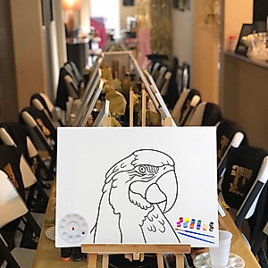 Essenburg Pre Drawn Canvas Parrott Paint Kit | Adult & Teen Sip and Paint Party Favor | DIY Date Night Couple Activity (S 8x10 CANVAS ONLY)