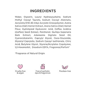 Sweet Chef Oat Milk Gel Cleanser - Antioxidant Rich Gentle Face Wash + Makeup Remover with Hyaluronic Acid + Vitamin B12 - for Problem Skin, Sensitive + All Skin Types (150ml / 5 fl oz)