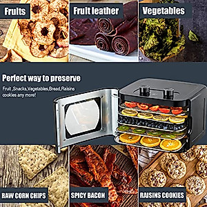 NutriChef Electric Countertop Food Dehydrator Machine - 350-Watt Premium Multi-Tier Meat Beef Jerky Maker Fruit/Vegetable Dryer w/ 4 Stainless Steel Trays, Digital Timer, Temperature Control