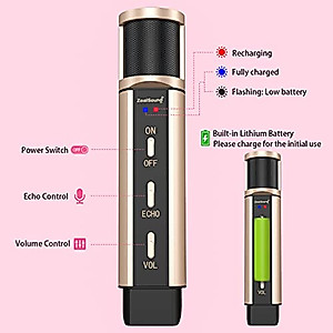 ZealSound Studio Recording Microphone, Condenser Broadcast Microphone w/Stand Built-in Sound Card Echo Recording Karaoke Singing for Phone Computer PC Garageband Smule Live Stream & YouTube (Gold)