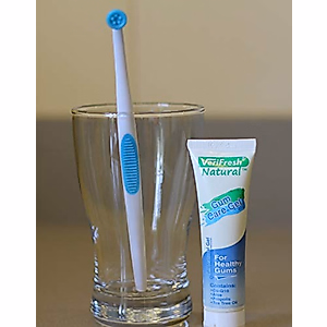 VeriFresh Gum Massager/Stimulator. Oral Care Remedy to Stimulate and Maintain Healthy Gums