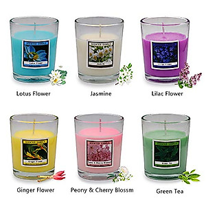 Set of 12 Scented Candles with 6 Fragrances, Natural Soy Wax Votive Candles for Party Dinner Yoga and Thanksgiving