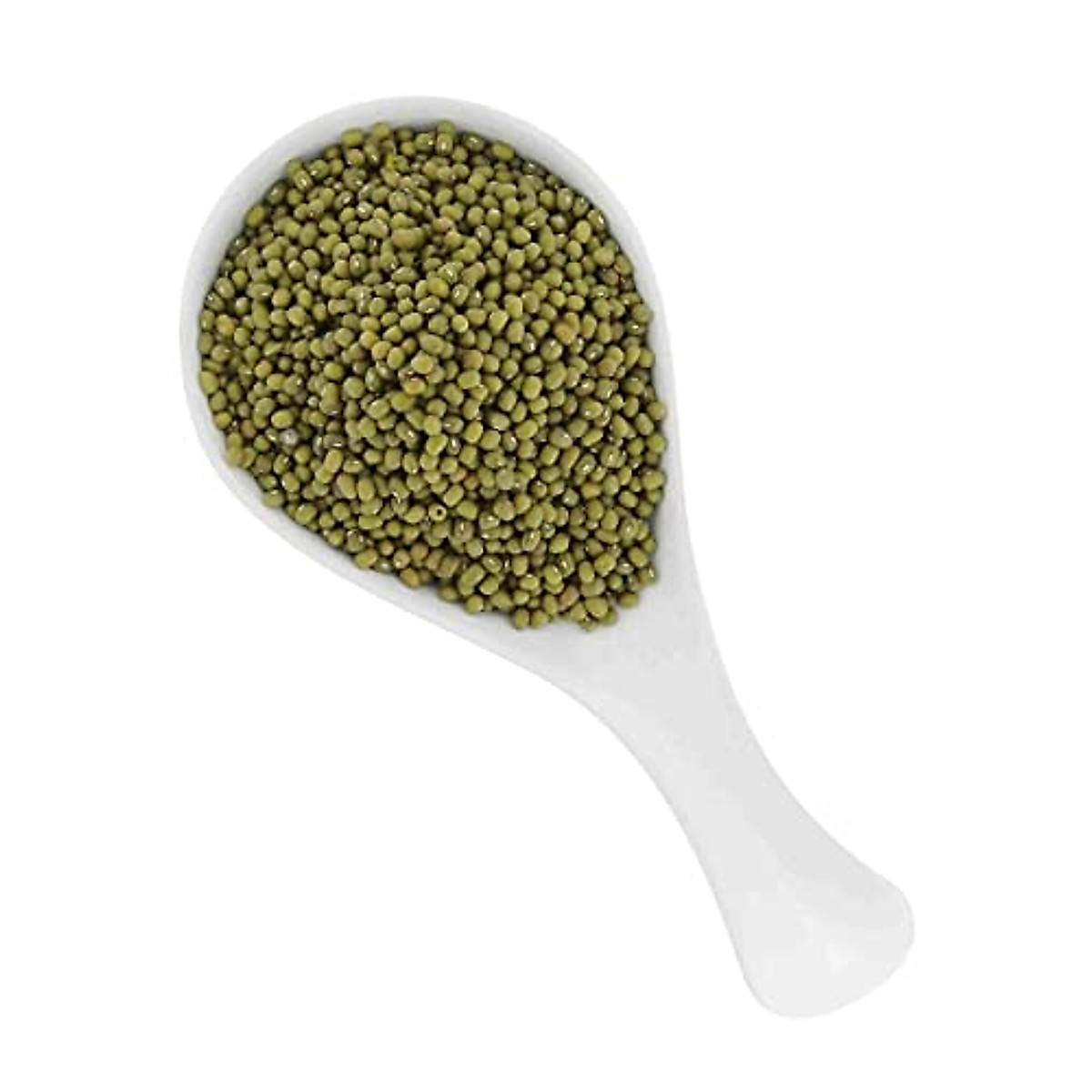 Todd’s Seeds - Mung Bean Sprouting Seed - Mung Bean Seeds - Chinese Green Bean - 1 Pound Bulk Seeds