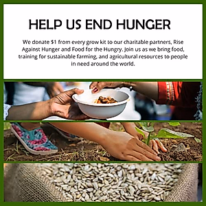 Awake Farms Indoor Herb Garden Seed Starter Kit – Indoor Grow Kit with Bamboo Pots, Soil Discs, Moisture Meter, Plant Markers, Seeds - Herb Seeds Variety Pack Indoor – Ideal for Balcony, Windowsill