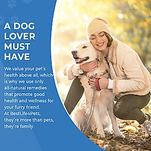 Eye Care and Vision Support Dog Supplement - Natural Eye Infection Treatment Relieves Conjunctivitis, Swelling, Discharge, and More - Stop The Dog Eye Drops Struggle with Easy to Use Pills