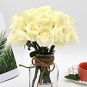 400+ Mixed Rose Seeds for Planting, Shrubs Perennial Bonsai Flower, Garden Yard Potted Decoration