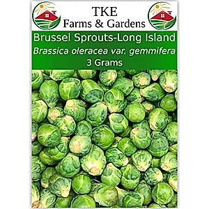 TKE Farms - Brussel Sprout Seeds for Planting, Long Island Improved, 3 Grams ≈ 750 Seeds, Brassica oleracea VAR. gemmifera