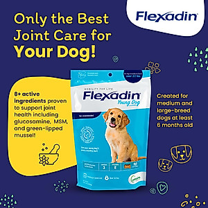 Vetoquinol Flexadin Hip and Joint Supplement with Glucosamine for Dogs, Joint Support Chew with Green-Lipped Mussel and MSM, 90-Count