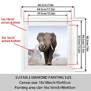 WOFFMX 16x16 Diamond Painting Picture Frames 18x18 Diamond Art Frames Wood ,Display Pictures16x16 Inch 40x40 cm with Mat or 18x18 Inch45x45cm Without Mat, Diamond Embroidery Photo Frame Diamond Art