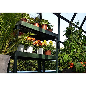 Rion Palram - Canopia 2-Tier Greenhouse Work Bench, Dark Green, 31.4''Lx15.7''Wx33.4''H