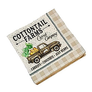 Easter Cottontail Farms Bunny Carrot Truck Paper Napkins (Lunch Size, 44 Count)
