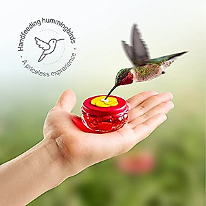 Handheld Small Glass Hummingbird Feeders (Set of 2) with Window Suction Mount Base - Window/Handheld or Tabletop Mini Hummingbird Feeders for Outdoors