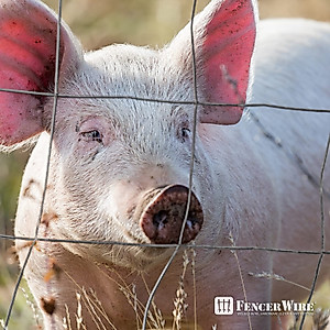 Fencer Wire 5 ft. x 100 ft. Galvanized Welded Wire Fence with 4" x 4" Square Opening, 16 Gauge Wire Mesh Fence Roll for Vegetables Garden Netting Chicken Coop Animal Enclosure