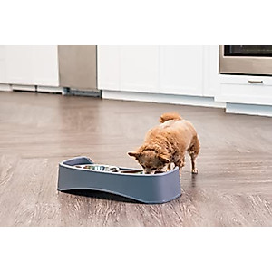 IRIS USA Large Elevated Pet Feeder with Attachable Legs and 2 Stainless Steel Bowls, For Small to Large Dogs Cats with 2 Quart Bowls and 12"H Legs Raised Pet Feeding Station, Dark Gray