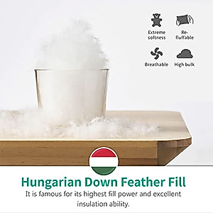 APSMILE Luxurious King Goose Feathers Down Comforter, Ultra-Soft Pima Cotton Goose Down Duvet, 39oz Hotel Collection Down Comforter Medium Warmth All Season Fluffy Duvet Insert (106x90, White)