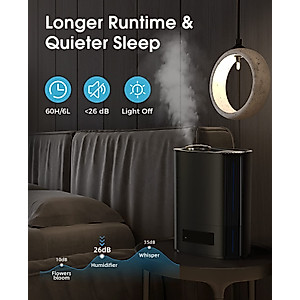 Humidifiers for Bedroom, 6L Top Fill Cool Mist Humidifiers for Large Room for Plants,TABYIK Air humidifier with Humidistat and Timer, with Essential Oil Diffuser Quiet for Home Black
